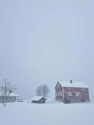 Sauna and ice bathing on the Lyngenfjord | GetYourGuide