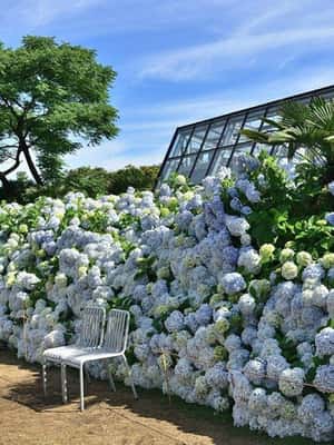 Jeju: Private Shore Excursion for Cruise Guests– West&South | GetYourGuide