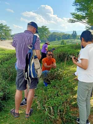 Chiang Rai : visite guidée du Triangle d'Or et des 7 sites ...