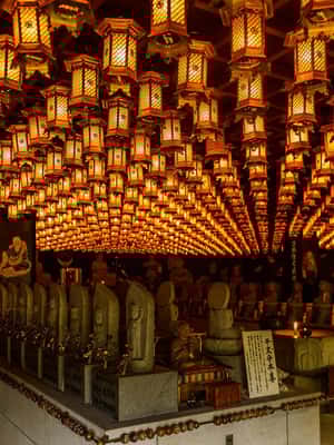 One-day cultural tour in Hiroshima and Miyajima | GetYourGuide