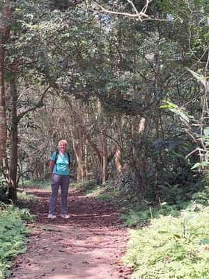 Cuc Phuong National Park - Van Long Day Trip From Hanoi | GetYourGuide