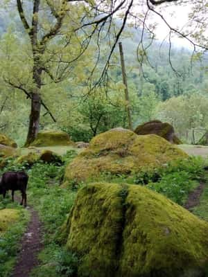 From Baku: Lankaran, Lerik, and Astara 2-Day Tour | GetYourGuide