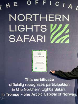 Tromsø: Northern Lights Safari with Expert Guides and Photos | GetYourGuide