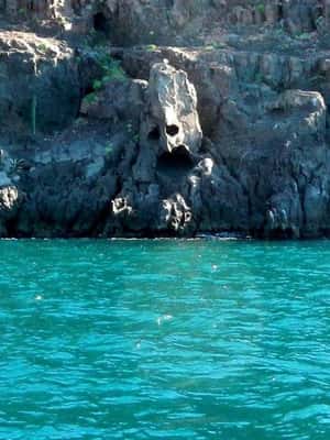 La Paz: Espíritu Santo Island Snorkeling Tour with Lunch | GetYourGuide