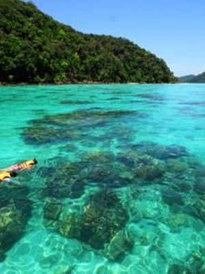 Krabi: Surin Islands Speedboat Tour with Meals | GetYourGuide