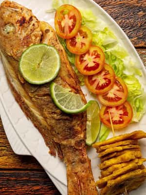 Dominican Food, Rum, and Beer Tasting Experience | GetYourGuide