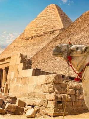 Hurghada: Cairo Tailor Made Private Tour with site visits | GetYourGuide