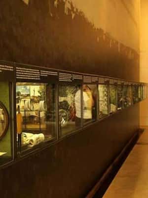 Tour naar Liliesleaf Farm, Constitution Hill en het Apartheidsmuseum ...