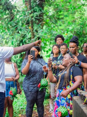 Zanzibar: Stone Town, maustekierros ja Prison Island lounas | GetYourGuide