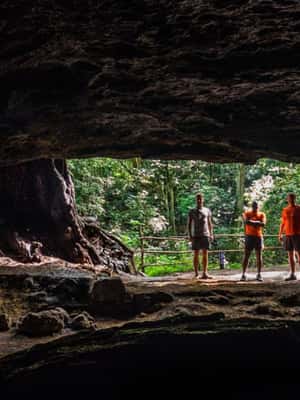 Nairobi: Ololua Nature Trail og Mau Mau-hulerne med picnic | GetYourGuide