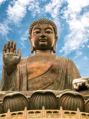 Hong Kong: barco y teleférico NP360 o pase de un día para Tai O ...