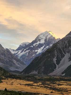 Christchurch zum Mt Cook über Lake Tekapo (einfache Fahrt) | GetYourGuide