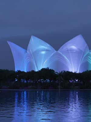 Cirque du Soleil LUDÕ — Nuevo Vallarta | GetYourGuide