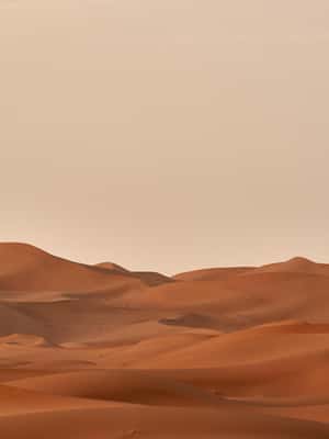 Wadi Bani Khalid - Désert de Wahiba Sands - Coucher de soleil | GetYourGuide