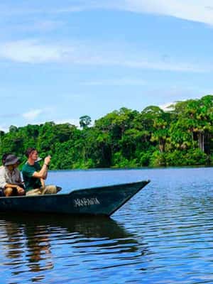 Puerto Maldonado: Amazon River Otters Adventure | GetYourGuide