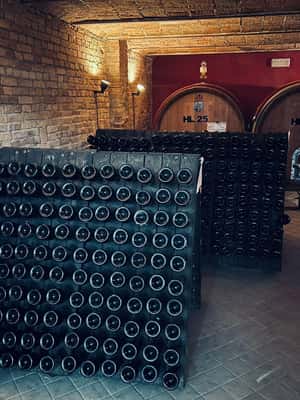 Organic Wine Tasting at Cantamessa Wines | GetYourGuide