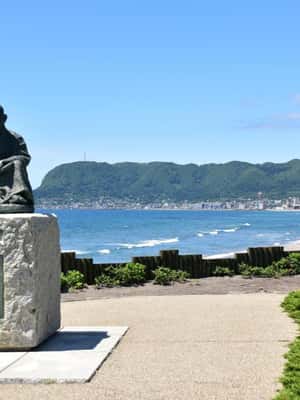Hakodate: Private Taxi Tour with Scenic Views | GetYourGuide