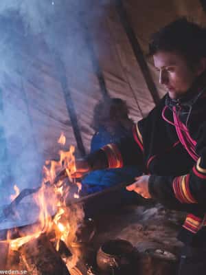 Luleå: Meet the Reindeer, Sámi Flavors & Stories by the Fire | GetYourGuide