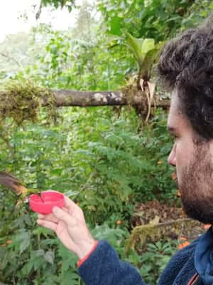 Private Mindo Day Tour: Cloud Forest, Nature & Chocolate | GetYourGuide