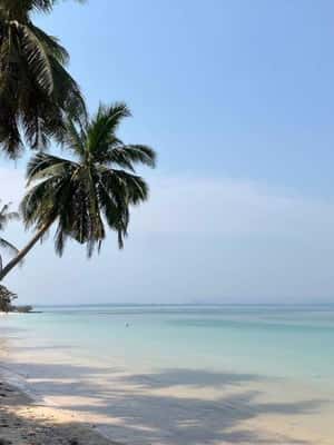 Bangkok: Rayong Islands Snorkeling Day Trip by Speedboat | GetYourGuide