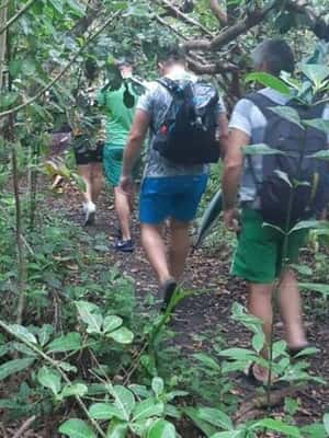 Zanzibar: Masingini Forest Hike and Herbal Healing Tour | GetYourGuide