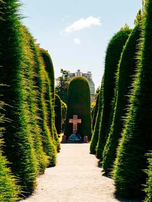 Punta Arenas: Classic Guided Tour of Punta Arenas city | GetYourGuide