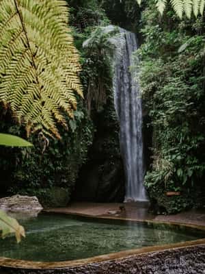 Bali: Goa Rang Reng Waterfall, Temple, and Jungle Swing Tour | GetYourGuide