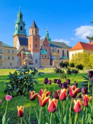Cracovia: tour guiado privado | GetYourGuide