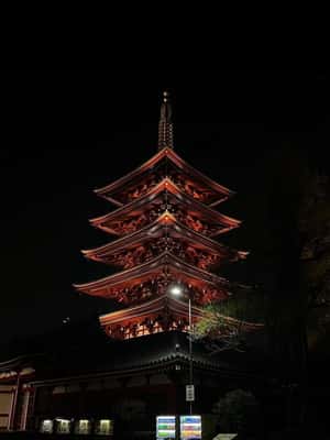 Tokyo Night Private Tour With English Speaking Driver | GetYourGuide