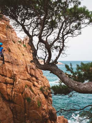 Sant Feliu de Guíxols: Guided tour of the Cala del Molí Via Ferrata | GetYourGuide