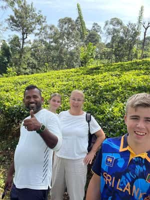 Kandy: Ambuluwawa Tower, Ramboda Falls & Tea Factory Tour | GetYourGuide