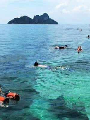 From Phuket: Phi Phi Islands 3D2N with early bird maya beach | GetYourGuide