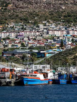 Cape Town: Professionally Curated Tour with Local Guide | GetYourGuide