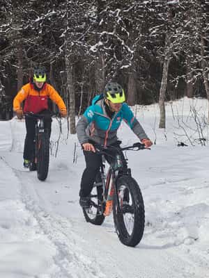 Tromsø: Electric fatbike trip on winter paths | GetYourGuide