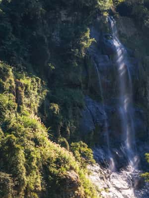 Taipei Hot Spring Tour: Wulai Old Street & Cable Car | GetYourGuide