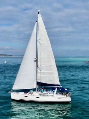 Panama City Beach: Private Dolphin Watching Sailboat Tour | GetYourGuide