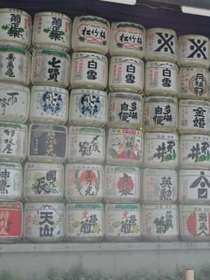 Tokio & Fuji: Premium Car 2-Day Private Tour | GetYourGuide