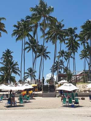 Maceió: Enjoy Ipioca Beach | GetYourGuide