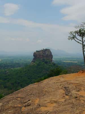 Kandy to Negombo: Sigiriya & Dambulla Day Trip | GetYourGuide