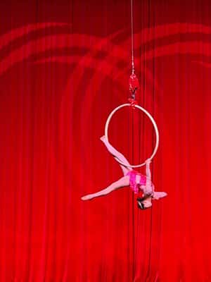Beijing: Acrobatic Show Tickets Traditional & Modern Fusion | GetYourGuide