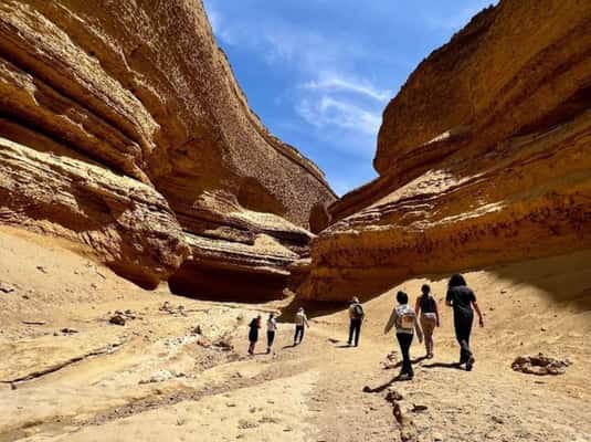 Ica: Besuche den Cañón de los Perdidos mit Wanderung und Naturerlebnis ...