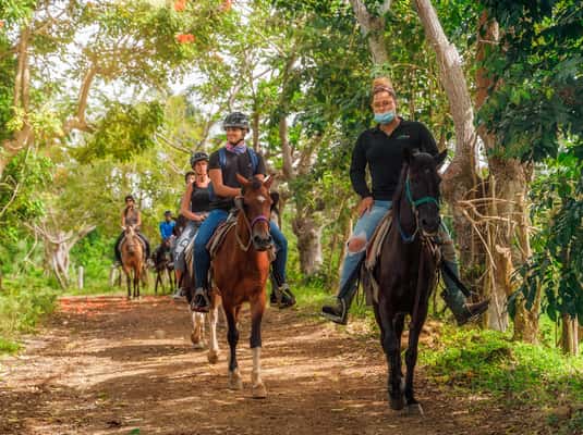 Carabalí Rainforest Park: Rainforest Horseback Riding Tour | GetYourGuide