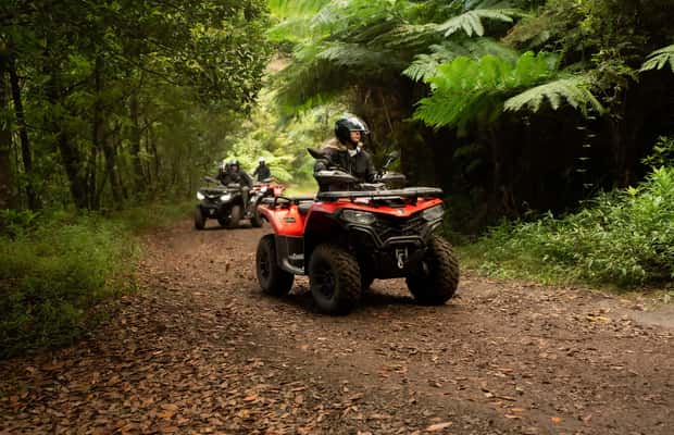 Madeira: Aventura Off-Road de ATV ou Quad - Adrenalina | GetYourGuide
