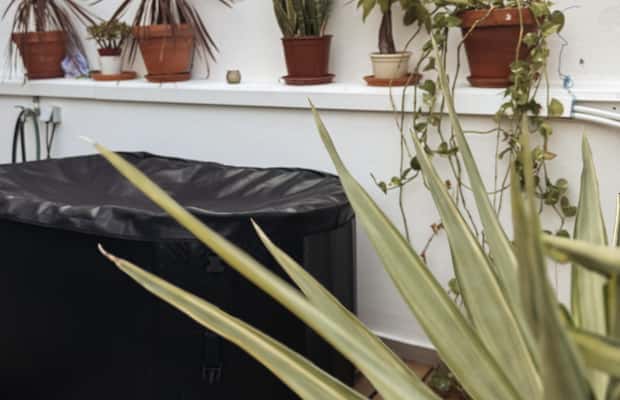 Lagos: Mindful Date Night: CacaoCeremony, Sauna & Ice Bath | GetYourGuide