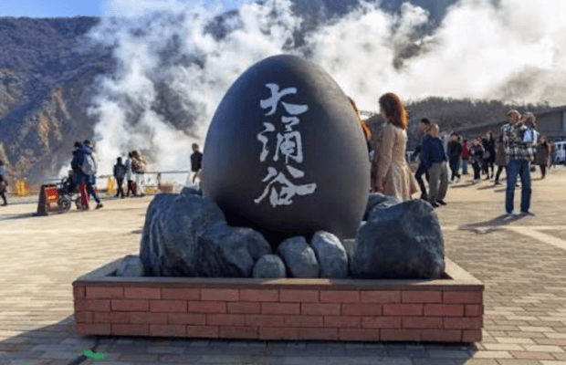 From Tokyo: Mount Fuji & Hakone Private Customizable Tour | GetYourGuide