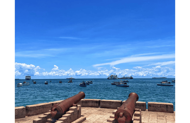 Zanzibar: Stone Town & Spice Farm Tour met lokale lunch | GetYourGuide