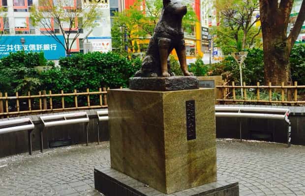 From Akihabara: Private City Tour with TeamLab & Tokyo Bay | GetYourGuide