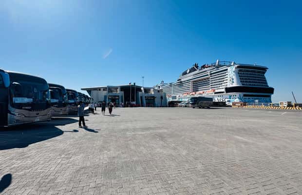 Bahrain: Tree of Life & Desert Heritage Bus Tour | GetYourGuide