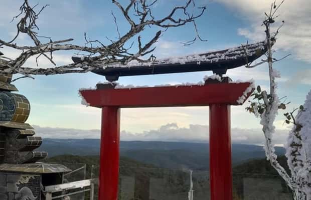 Nha Trang & Da Lat: 6-Day Guided Tour with Snorkeling | GetYourGuide