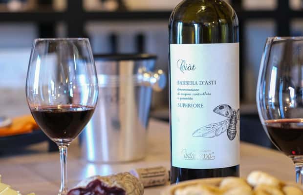 Organic Wine Tasting at Cantamessa Wines | GetYourGuide